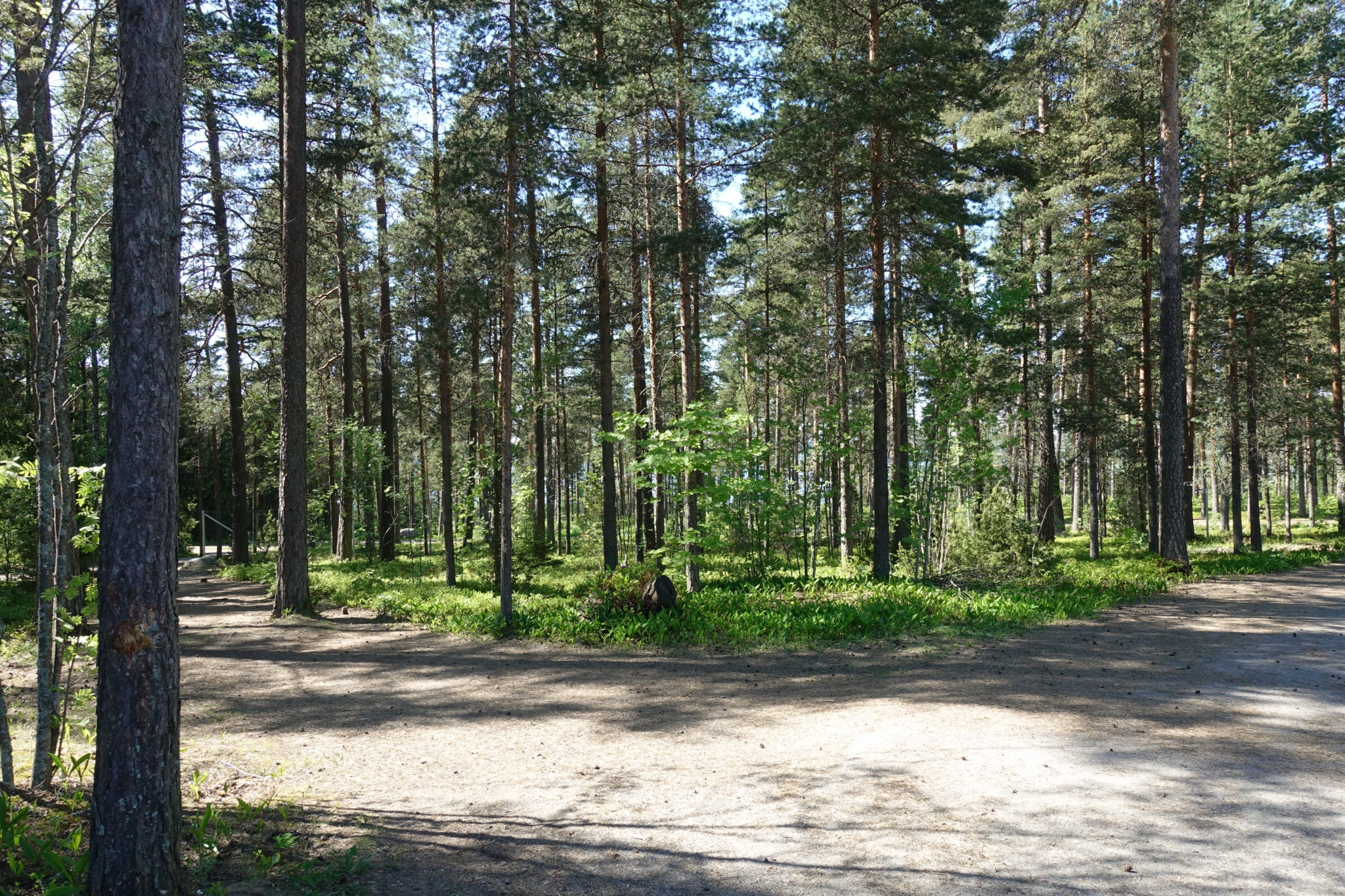 Ulkoilureitit ja ladut - Lohjan liikuntakeskus